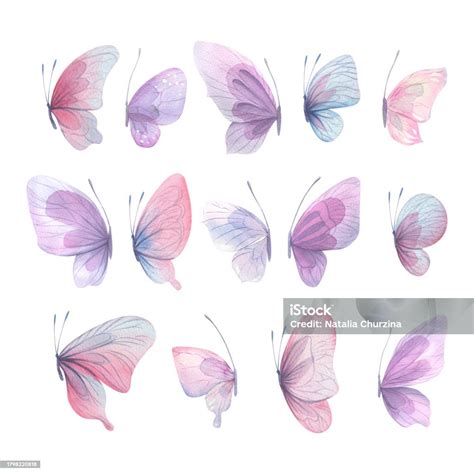 나비는 분홍색 파란색 라일락 날고 날개와 페인트가 튀는 섬세합니다 손으로 그린 수채화 그림입니다 디자인을 위해 흰색 배경에 격리된 요소 집합 0명에 대한 스톡 벡터 아트 및