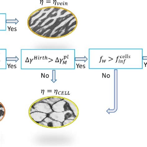 framework for assigning saturated dislocation substructure at each fe