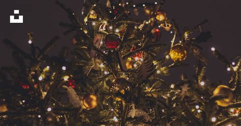 크리스마스 트리에 금 싸구려 사진 Unsplash의 무료 나무 이미지