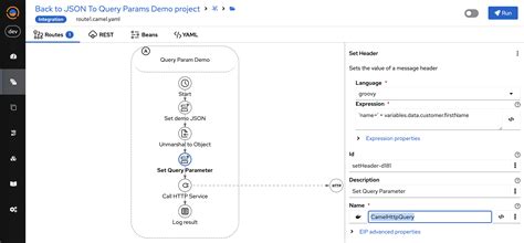 Query Parameters Documentation