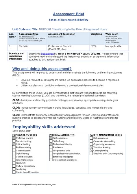 Pd Plan Instructions Pd Plan Assessment Brief School Of Nursing And