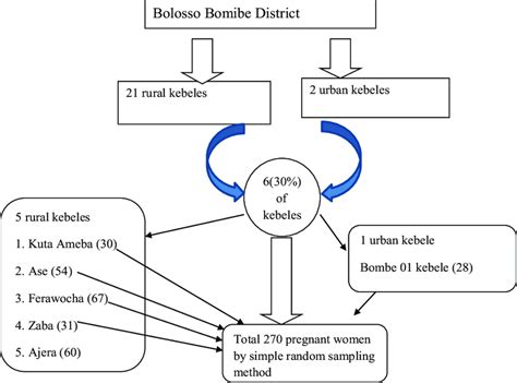 Schematic Presentation Of Sampling Procedure Download Scientific Diagram