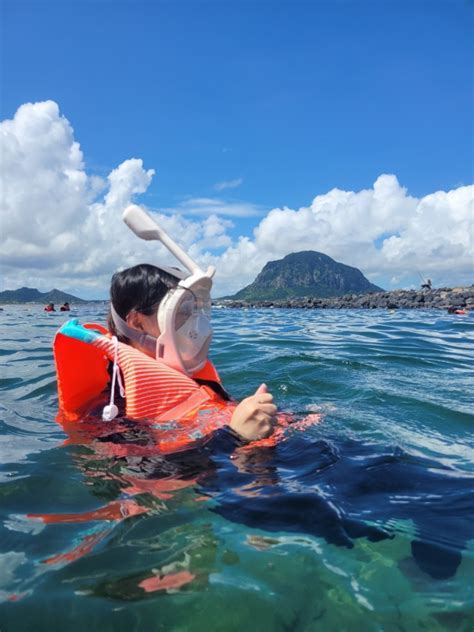 물고기 많이 보이는 서귀포 제주스노쿨링 스팟 형제섬 Ft 디스커버제주 호핑투어 네이버 블로그