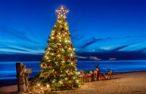Christmas Magic By The Ocean 4k Ultra Hd Holiday Beach Tree Skyline