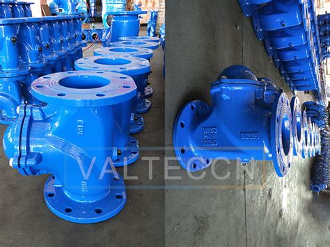 Ball Check Valves Exported To Europe For Water Treatment Applications Valteccn