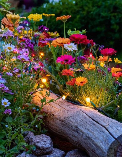 14 Gorgeous Garden Border Lighting Ideas To Illuminate Your Outdoor