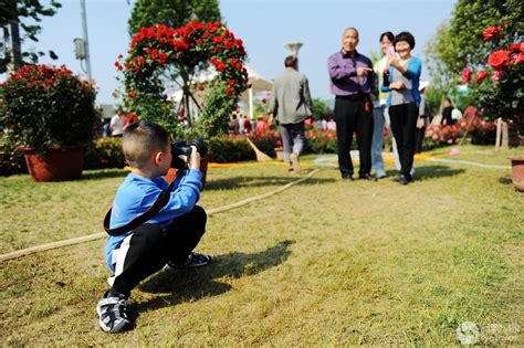 模样 南水北调中线渠首·美丽淅川第六届全国摄影大赛 光影中国网 3601nycn Powered By Discuz