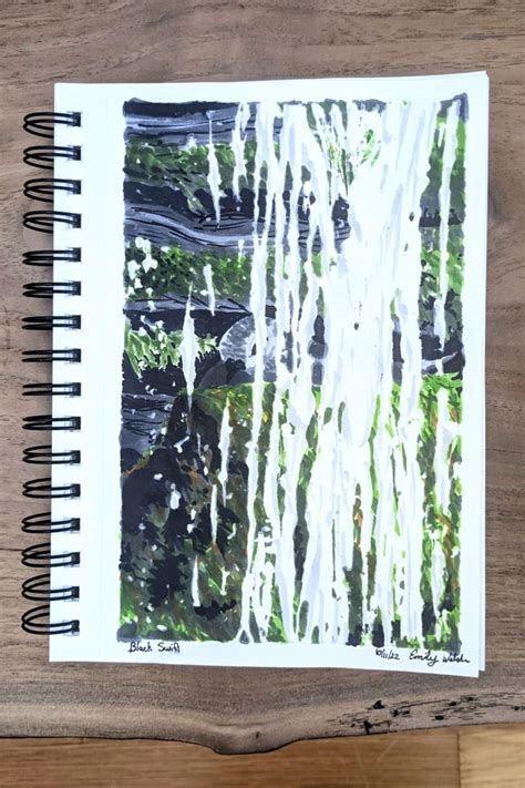 Black Swift Nesting Behind Waterfall