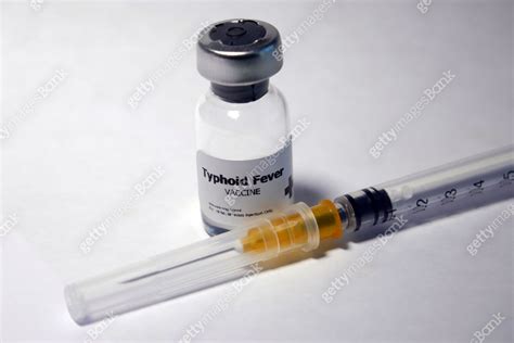 Typhoid Fever Immunization 이미지 955515414 게티이미지뱅크