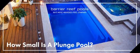 Typical Plunge Pool Sizes Blog Dandp Swimming Pool