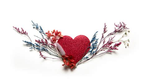 흰색 배경에 마른 여러 가지 빛깔의 꽃과 빨간 발렌타인 하트 해피 발렌타인 데이 0명에 대한 스톡 사진 및 기타 이미지 0명