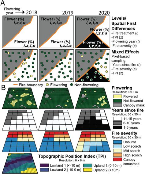 A Theoretical Sampling Designs And Descriptions Of Levels Spatial Download Scientific Diagram