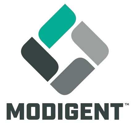 Modigent Empowers Thousands Of Vendors To Answer Their Own Questions
