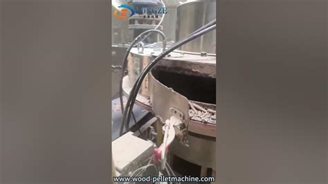 Pelletize Room Work Situation Pelletmill Woodpelletmachine Machine