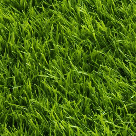 Premium Photo High Quality Photo Realistic Seamless Grass Pattern