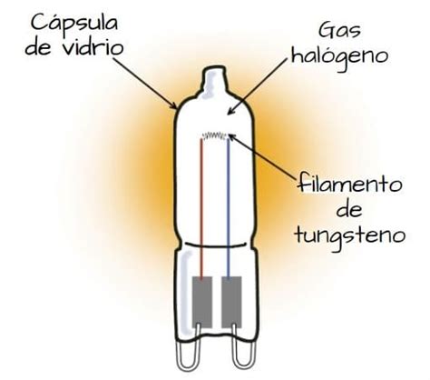 Partes De Una Lámpara Halógena De Bajo Voltaje