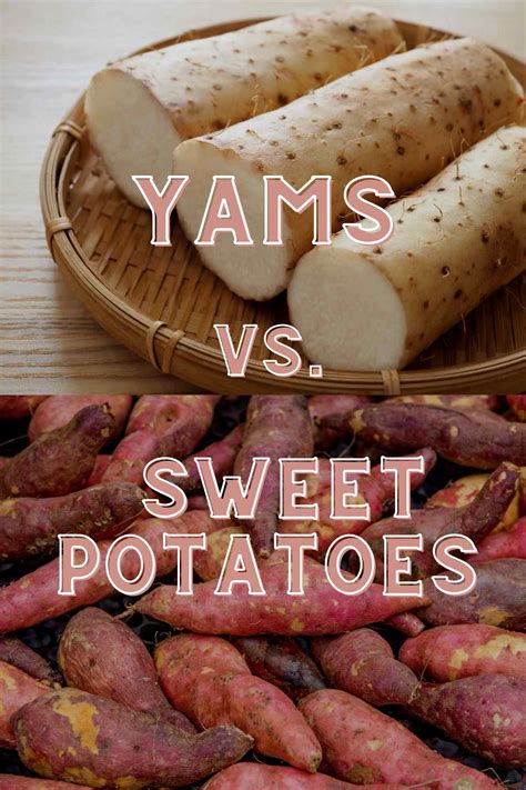 Yams Vs Sweet Potatoes Which Is Better Joyful Dumplings