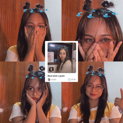 Blue Bird Snow Filter Snow App Filters Aesthetic Filter Best