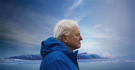 Review National Geographics Ocean Proves David Attenborough Is