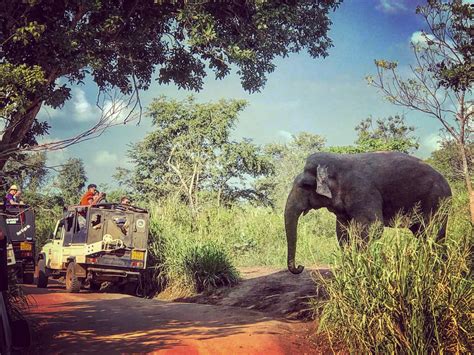 Discover The Hidden Gems Of North Western Sri Lanka A Day Nature