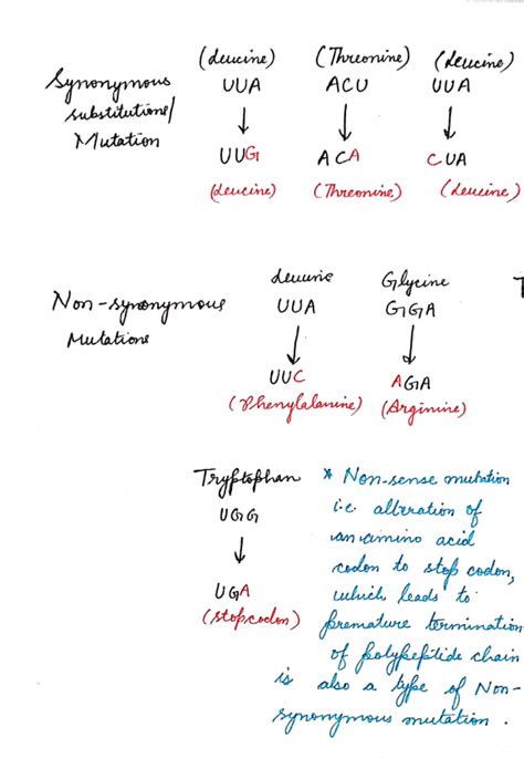 How Do Synonymous And Nonsynonymous Dna Mutations Differ Wizedu