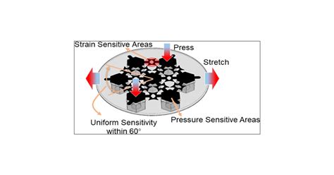 Ag Nanowire Based Omnidirectional Stretchable Sensing Array For Independent Pressurestrain