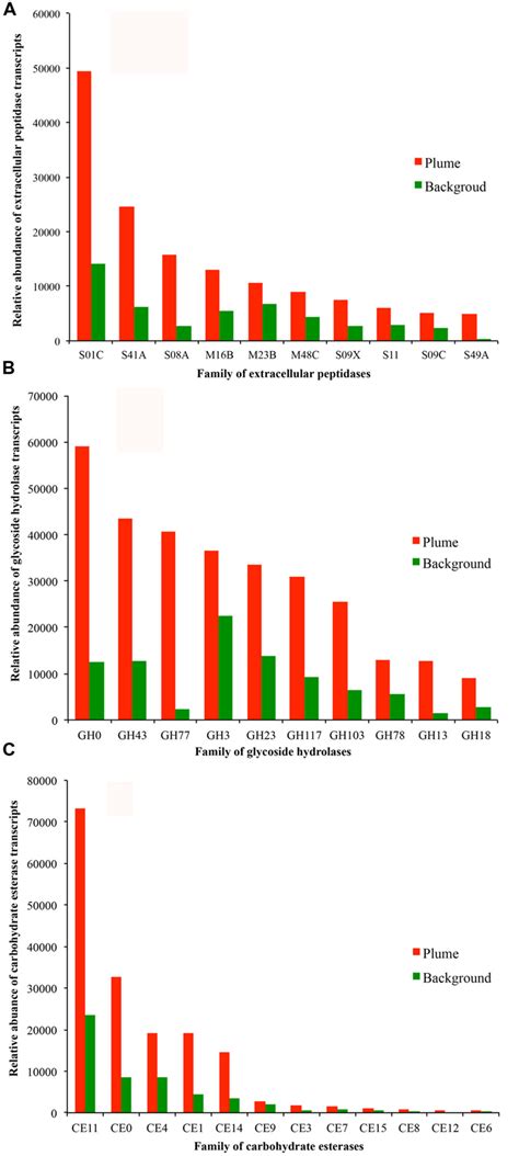 Relative Abundance Of Transcripts At The Level Of Families Of Download Scientific Diagram