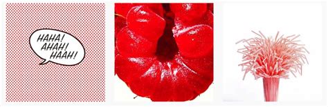 Color Theory In The Digital World Socialfly NY