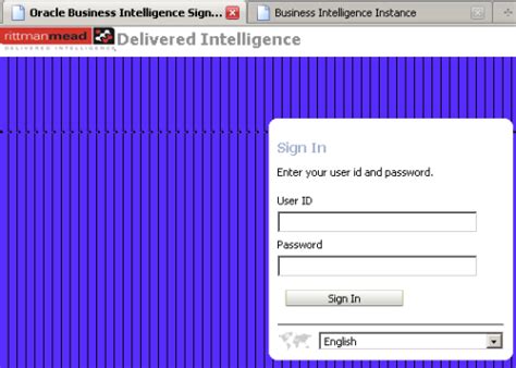 Oracle BI EE 11g Styles Skins Custom XML Messages