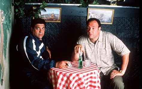The Sopranos Male Cast Now Cop Death Arrest Becoming Buddhist And