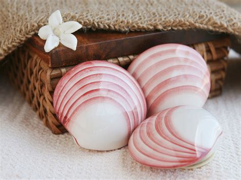 Porcelain Lava Shells Self Heating Massage Tools By Spa Revolutions