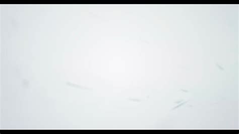 Preciseflex Robots On Linkedin Collaborativerobots Cobots Manufacturing