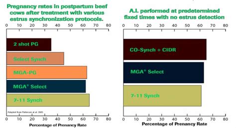 Репродуктивен мениджмънт на стадото Bg Genomix