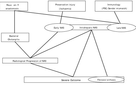 Schematic Representation Of Risk Factors And Prognostic Factors For The Download Scientific