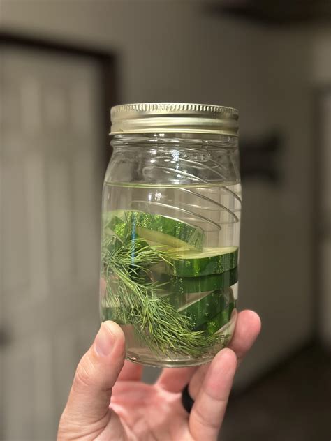 Blender Bottle Shaker Ball Hack Rfermentation