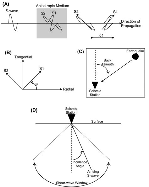 3 Diagrams Of Shear Wave Splitting Terminology A Shear Waves