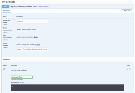 Improving Generated Swagger Documentation Issue 618 Nestjsx Crud