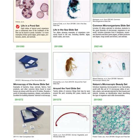 Introductory Slides And Sets Sahara Scientific