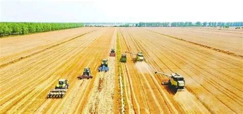 江苏粮食总产首次突破750亿斤！2022财政投入超280亿元确保“丰产丰收”支持资金生产能力