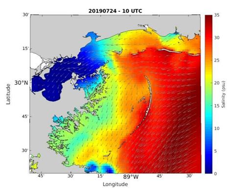 Surface Salinity And Current Distribution From Ngofs Ocean Modeling Download Scientific Diagram