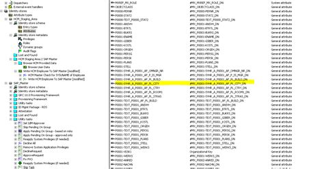 Idm Hcm Integration How To Add A New Attribute Sap Community