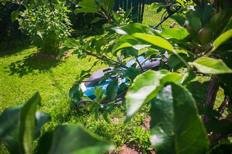 현대 정원이나 뒤뜰의 푸른 잔디에 잔디 발동기 잔디밭을 자르는 기계 원예 관리 도구 및 장비 잔디 다듬기 과정 0명에 대한 스톡 사진 및 기타 이미지 Istock