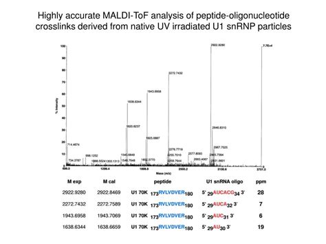Ppt Evaluation Of Different Matrices For The Maldi Tof Analysis Of Peptide Rna