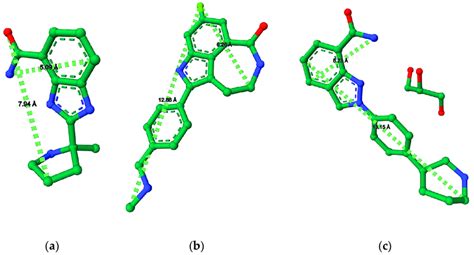 Figure A1 Parp1 Inhibitor Maximum Length And Width Spatial Distance Download Scientific