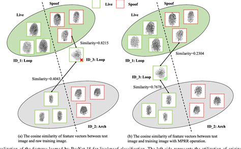 Figure 1 From Fingerprint Presentation Attack Detection By Region Decomposition Semantic Scholar