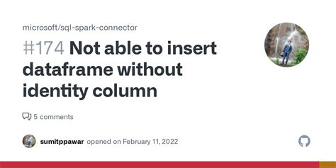 Not Able To Insert Dataframe Without Identity Column · Issue 174 · Microsoftsql Spark