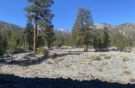 10 Best Trails And Hikes In Lytle Creek Alltrails