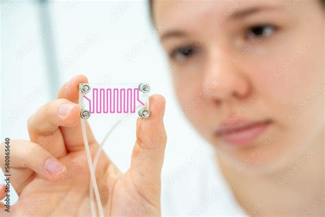 Microbiology University Girl Babe Holding Lab On Chip Microfluidic Devices Stock Photo