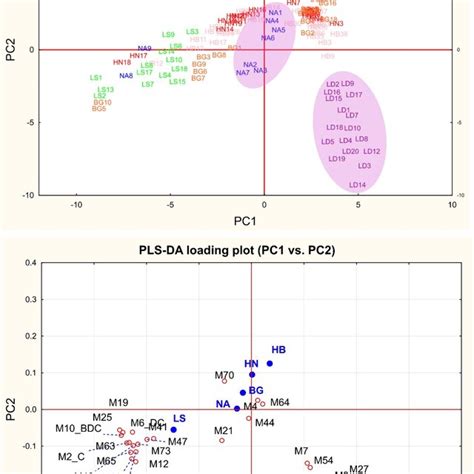 pls da a score plot and b loading plot of the 2 major components download scientific