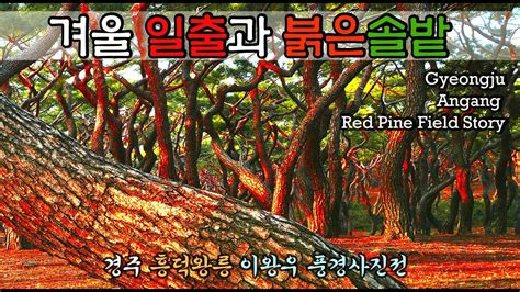 경주여행GyeongjuTravel 경주 흥덕왕릉 흥덕왕릉 소나무밭 하늘풍경과 이왕우 흥덕왕릉 풍경사진전 영상입니다 YouTube
